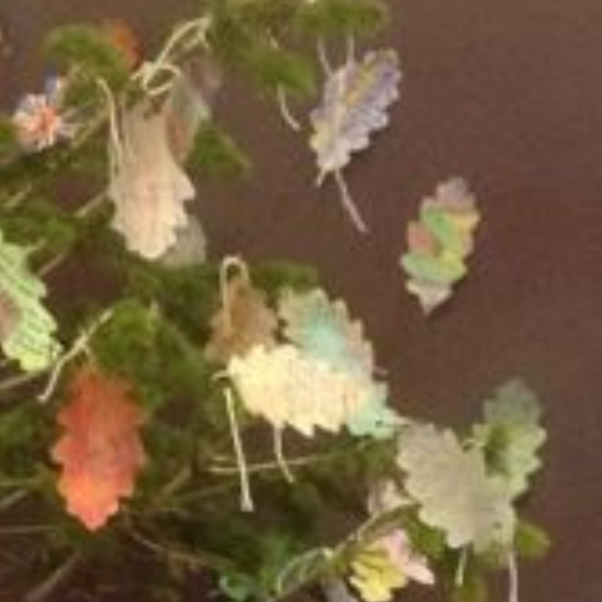 Allenbourn Middle School - Year 5 Pledges